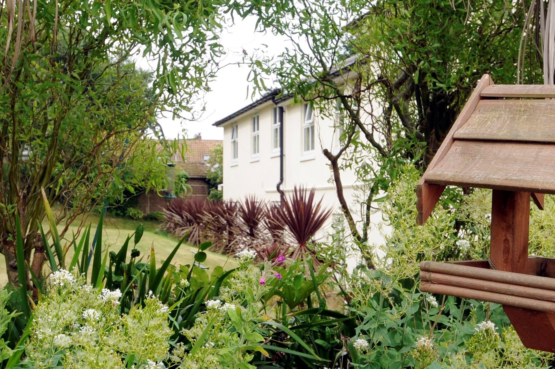 Discover PCS Care Planning